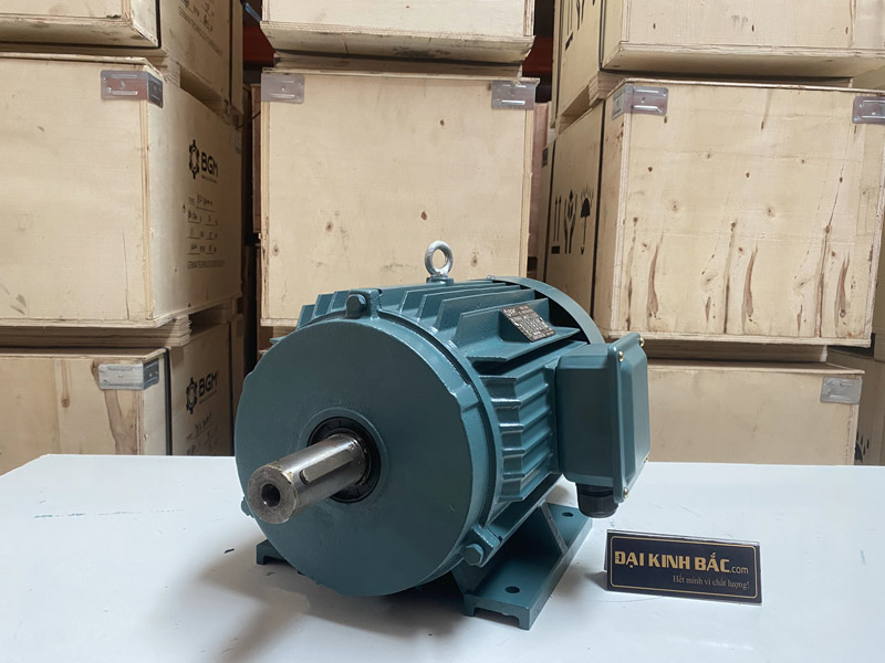 Motor điện YE2-100L-6 1.5kw